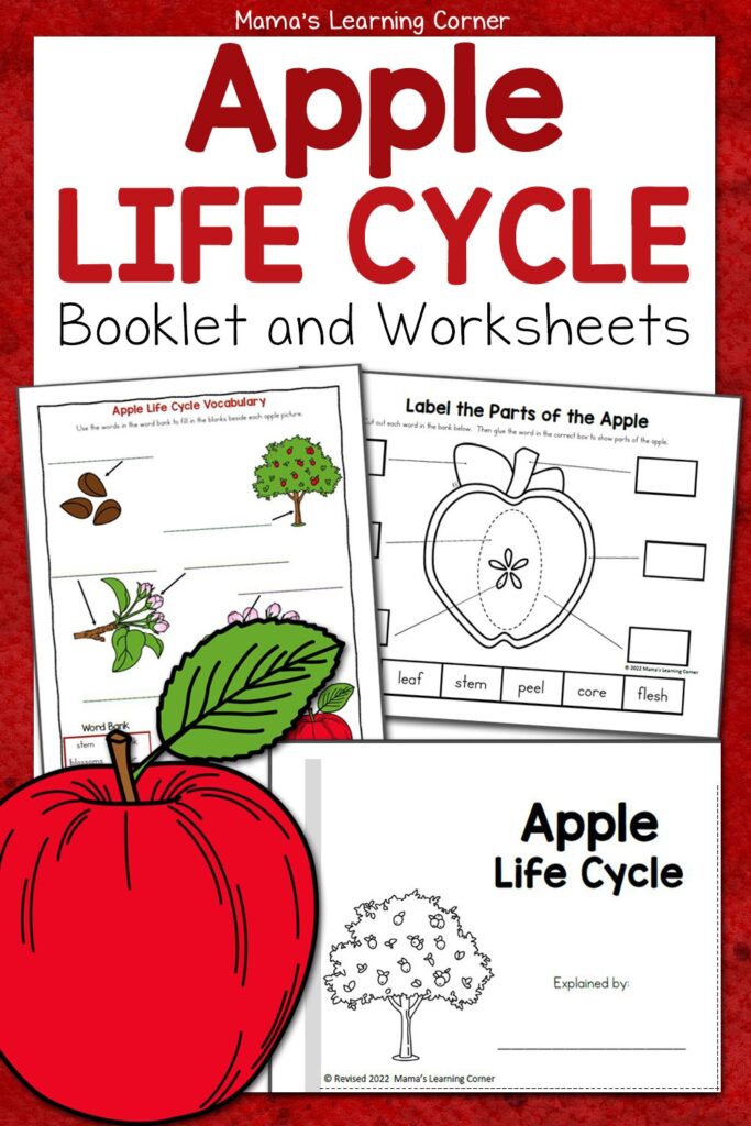 Apple Worksheets Free Printable - Free Printable Worksheets
