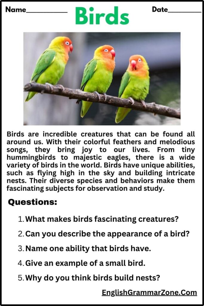 Bird Reading Comprehension Worksheet - Free Printable Worksheets