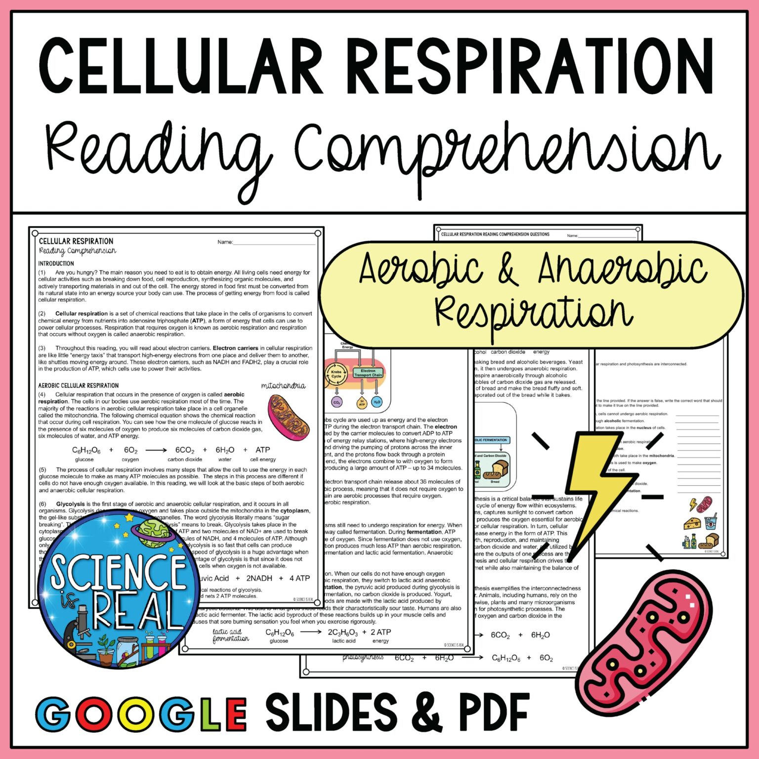 Cellular Respiration Reading Comprehension Worksheet - Free Printable ...