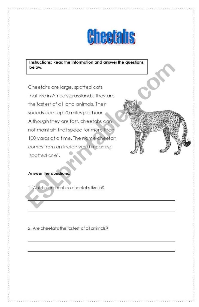 Cheetah Reading Comprehension Worksheets - Free Printable Worksheets