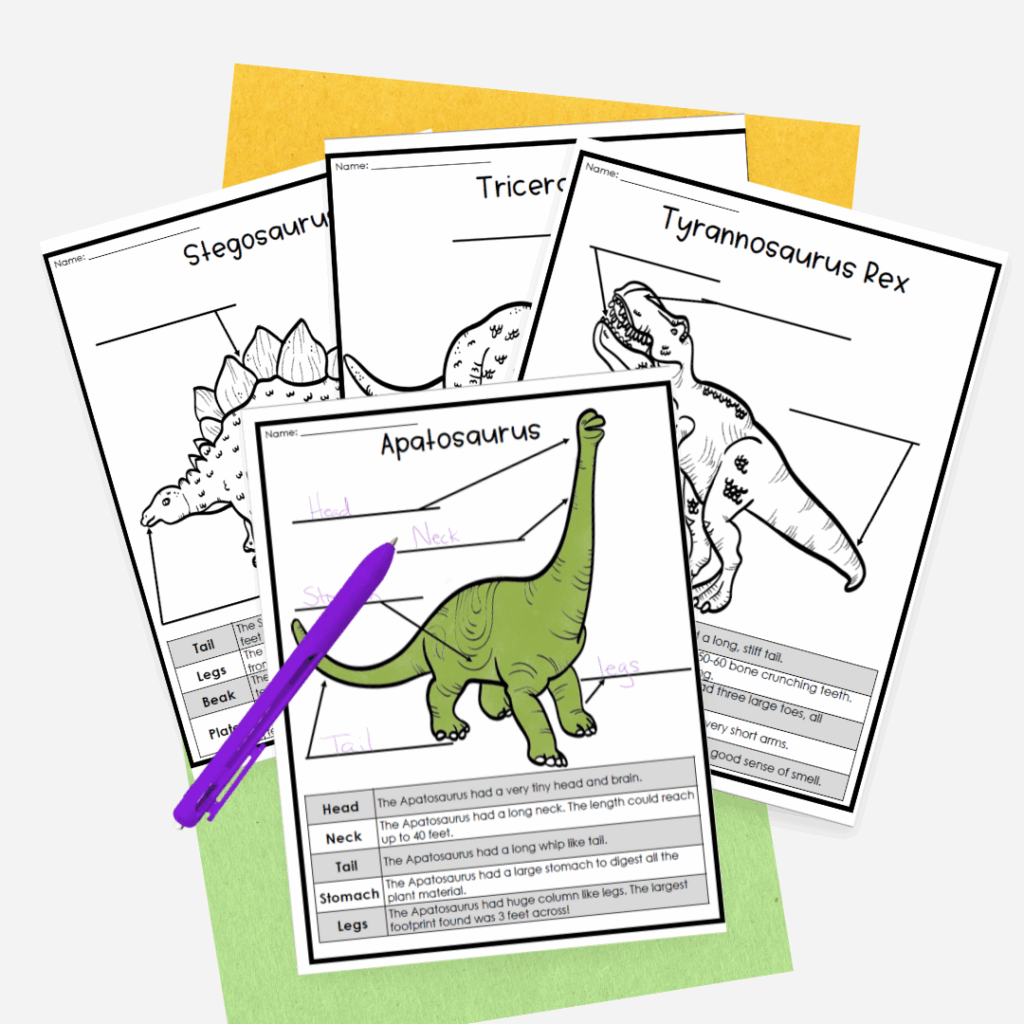 Dinosaur Reading Comprehension Worksheets Ks1 - Free Printable Worksheets