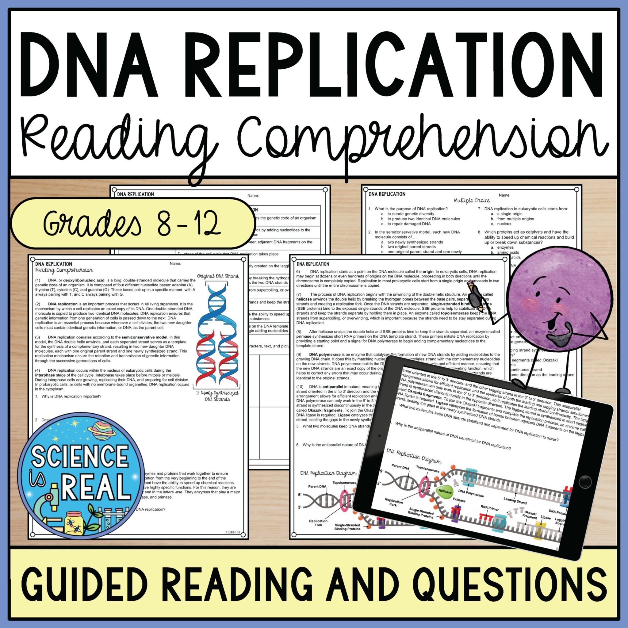 Dna Replication Reading Comprehension Worksheet - Free Printable Worksheets