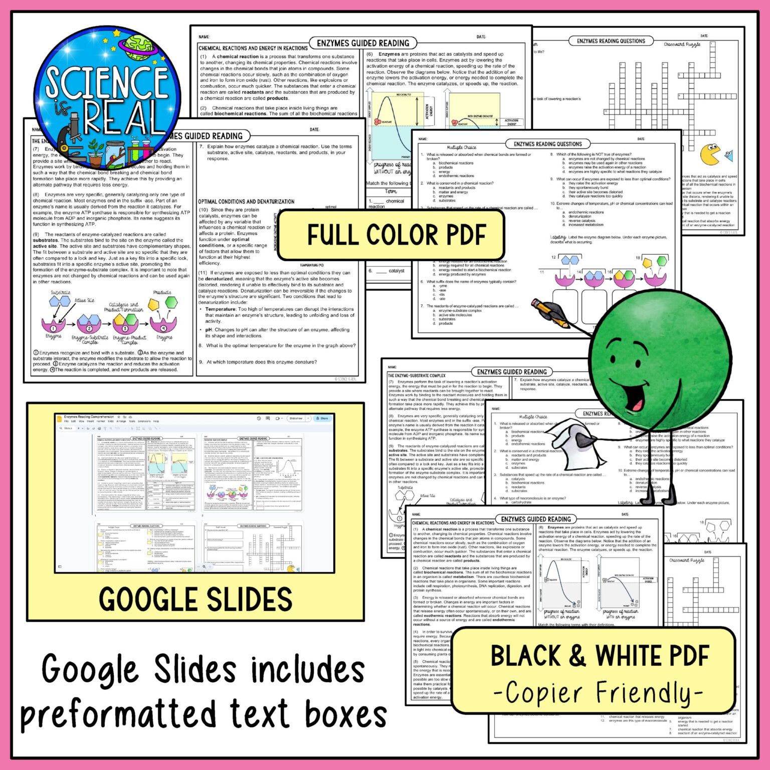 Enzymes Reading Comprehension Worksheet - Free Printable Worksheets