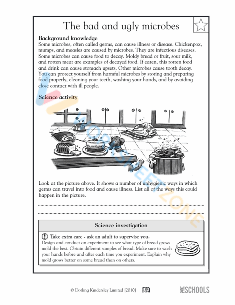 Free Printable Science Worksheets Grade 5 - Free Printable Worksheets