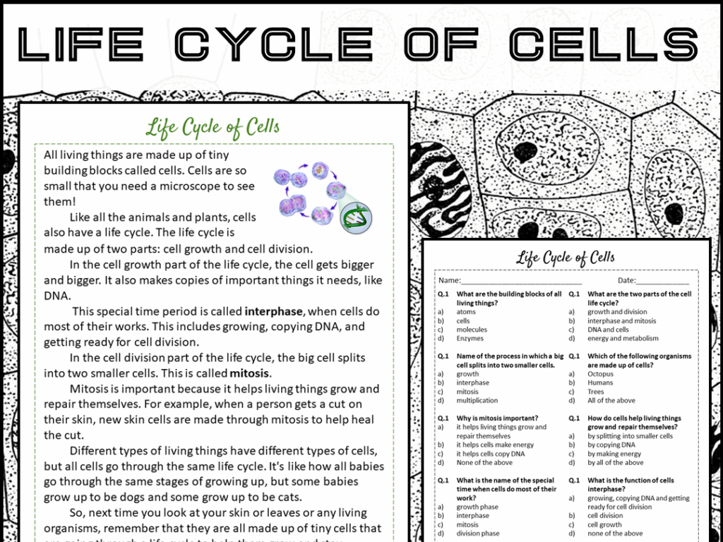 Cells Reading Comprehension Worksheets - Free Printable Worksheets