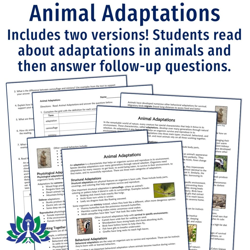 Adaptations Reading Comprehension Worksheet 6th Grade - Free Printable ...