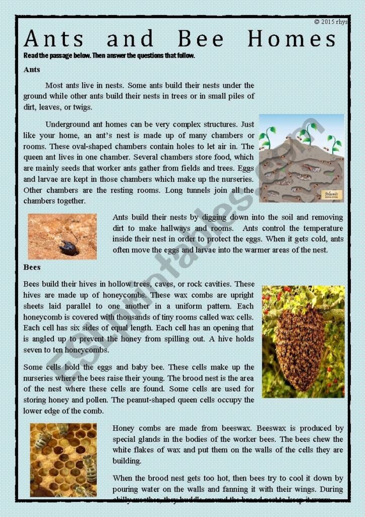 Compare And Contrast Reading Comprehension Worksheets - Free Printable ...