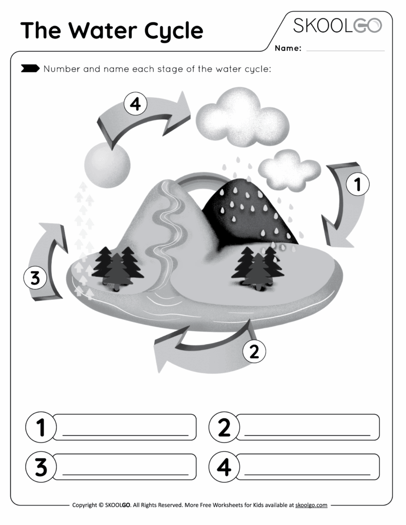 Free Printable Science Worksheets Water Cycle - Free Printable Worksheets